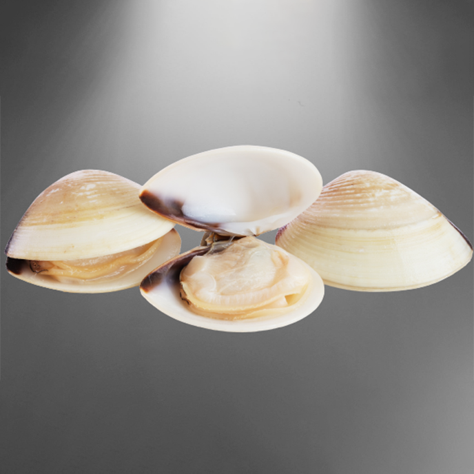 High Quality Frozen Seafood Products - Viet Asia Foods