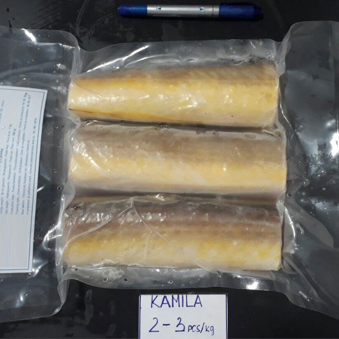 Premium Frozen Anago Fish Suppliers: Quality & Health Benefits | VAFCO