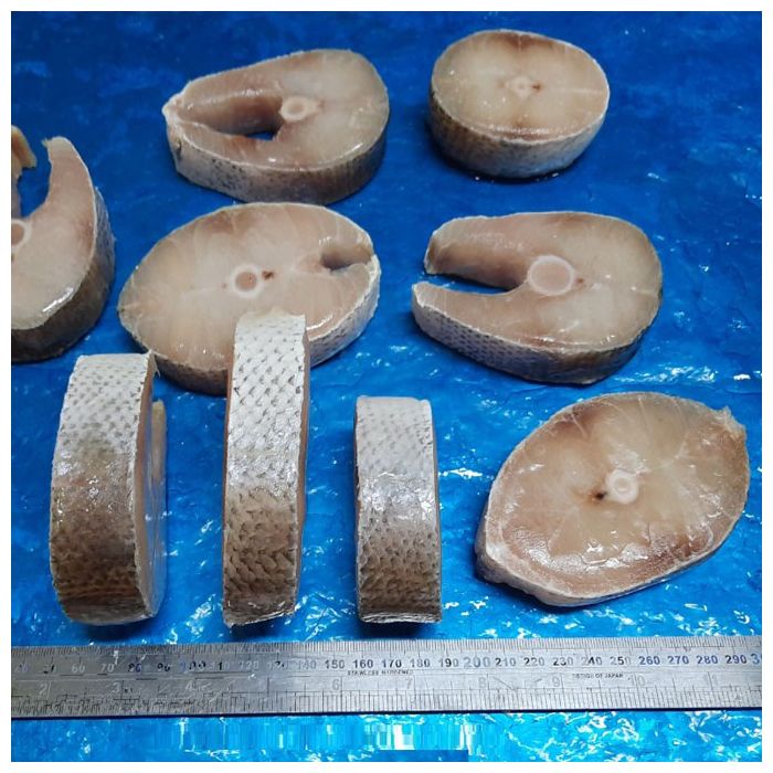 Robust and Flaky Barracuda from the Pacific Ocean | VAFCO