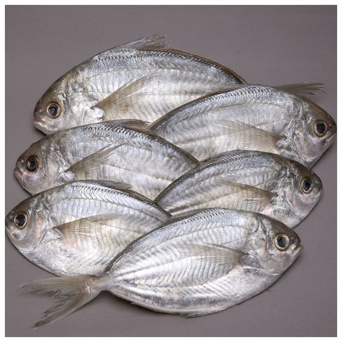 Elevate Your Menu with Premium Frozen Butterfish | VAFCO