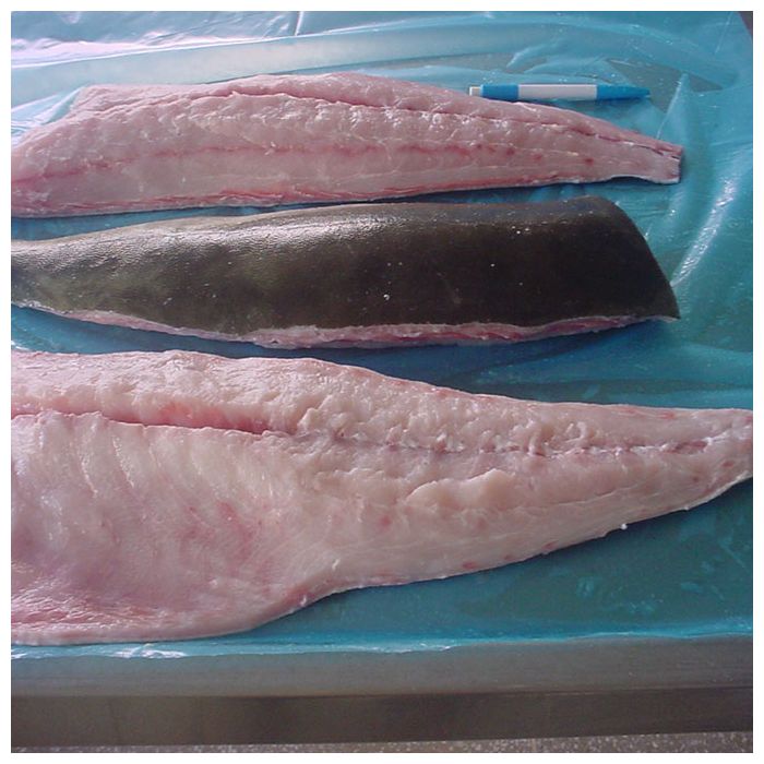 Premium COBIA: Vietnam's Culinary Delight | VAFCO