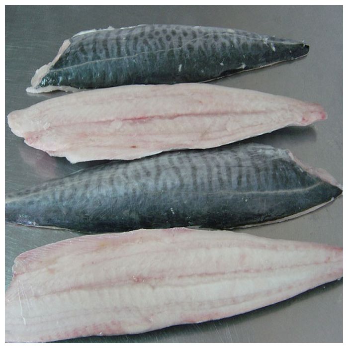 Premium Wahoo Wholesale | Sustainable Fishing | VAFCO