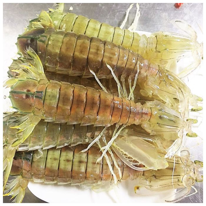 how to cook squilla mantis