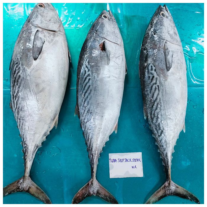 Premium Skipjack Tuna Wholesale | Wild-Caught Sustainability | VAFCO