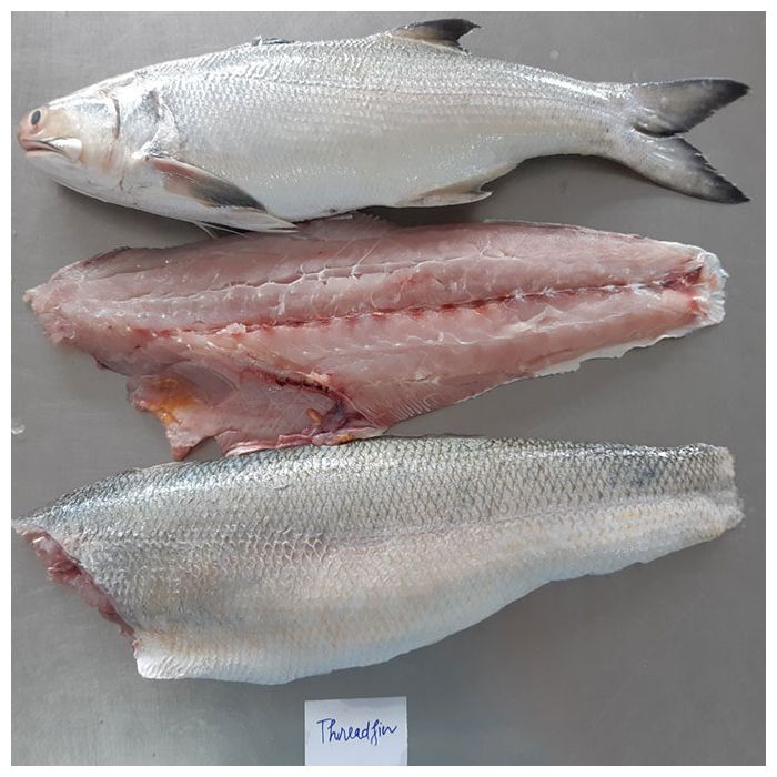 threadfin salmon meat