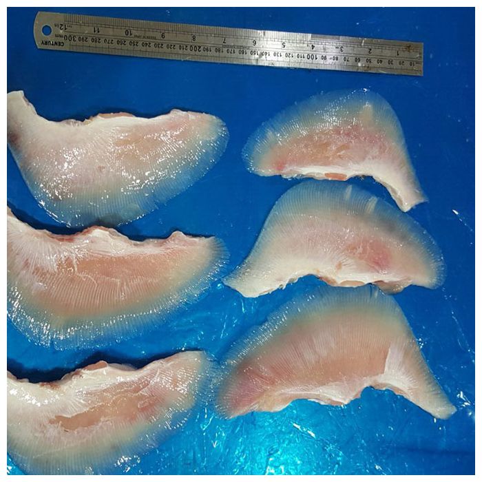 stingrays fish and chips