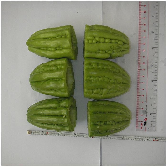 Top Bitter Melon Suppliers: Quality Assured, Versatile & Vacuum-Packed ...