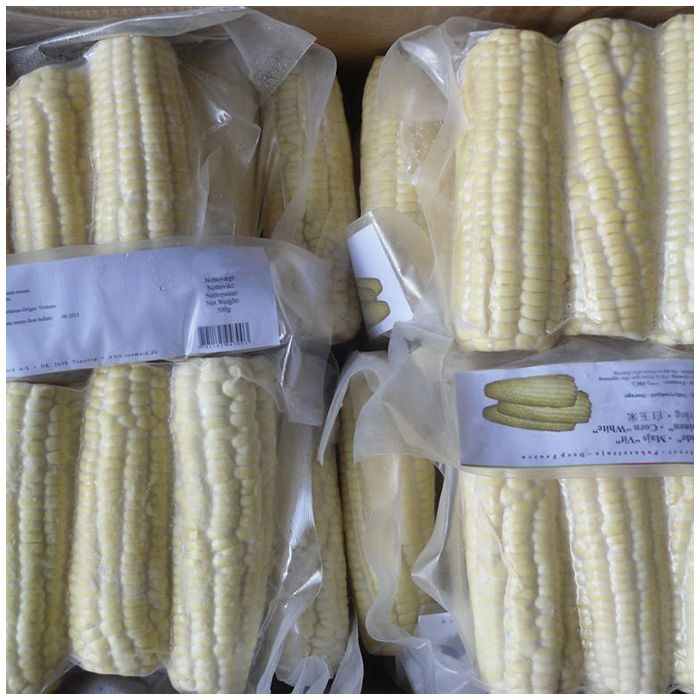 Premium Corn Exporters: Sweet Kernels, Diverse Options & Bulk Ready | VAFCO
