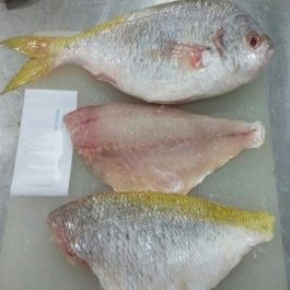 Premium Yellow Stripe Snapper | Sustainable Fishing | VAFCO