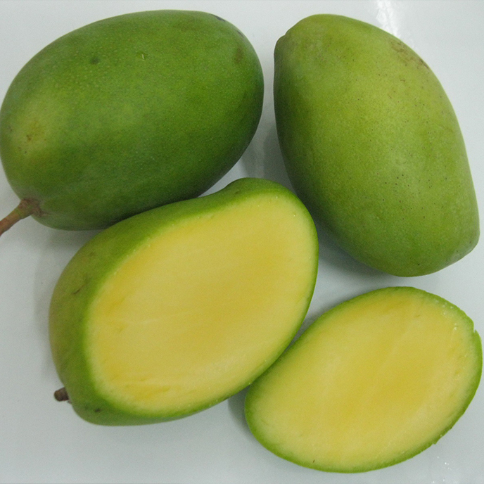 Prime Mango Suppliers: Premium Quality, Diverse Options & Bulk Ready ...