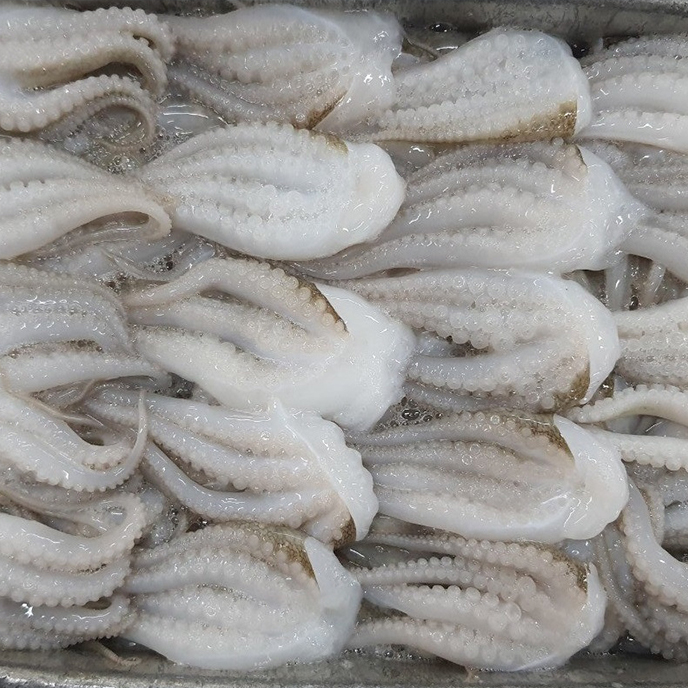 Premium Frozen Baby Octopus: Authentic Taste, Culinary Versatility | VAFCO
